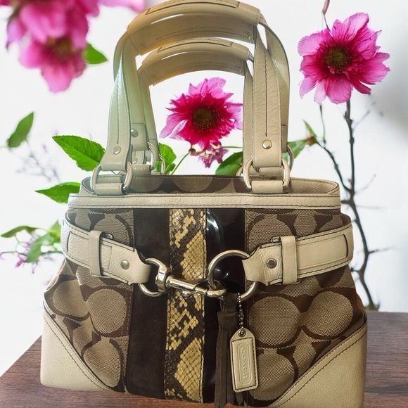 Coach | Bags | Y2k Coach 206 Hampton Almost Vintage Python Striped ...